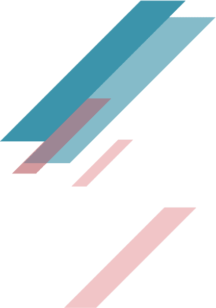 Secure The Digital Experience with Radware